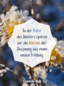 Die 100 besten Winter Sprüche und Zitate mit schönen Bildern · good space.