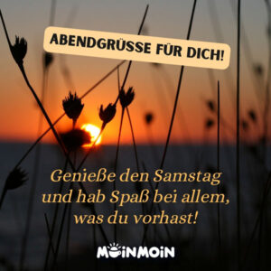 MoinMoin · good space.