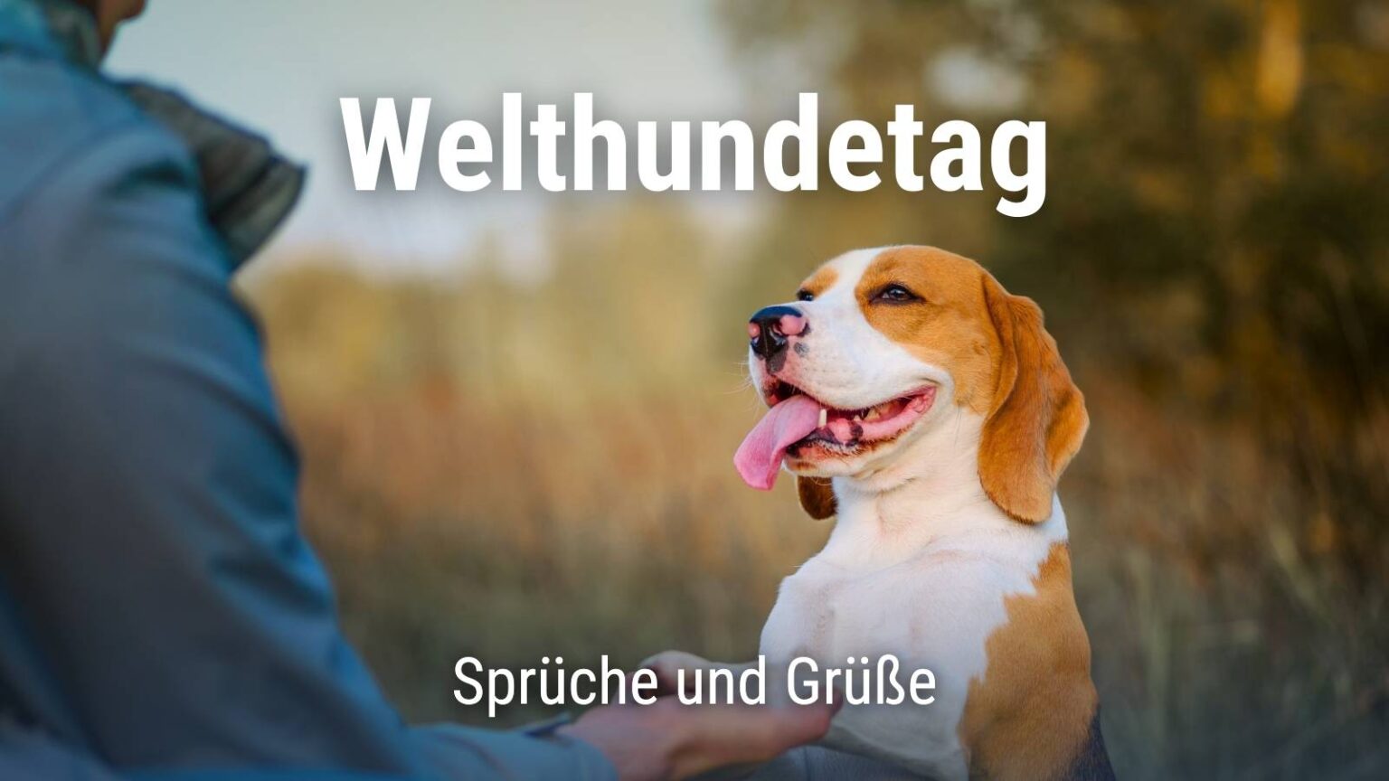 Tierfakten – 14 süße und lustige Fakten mit Bildern · good space.