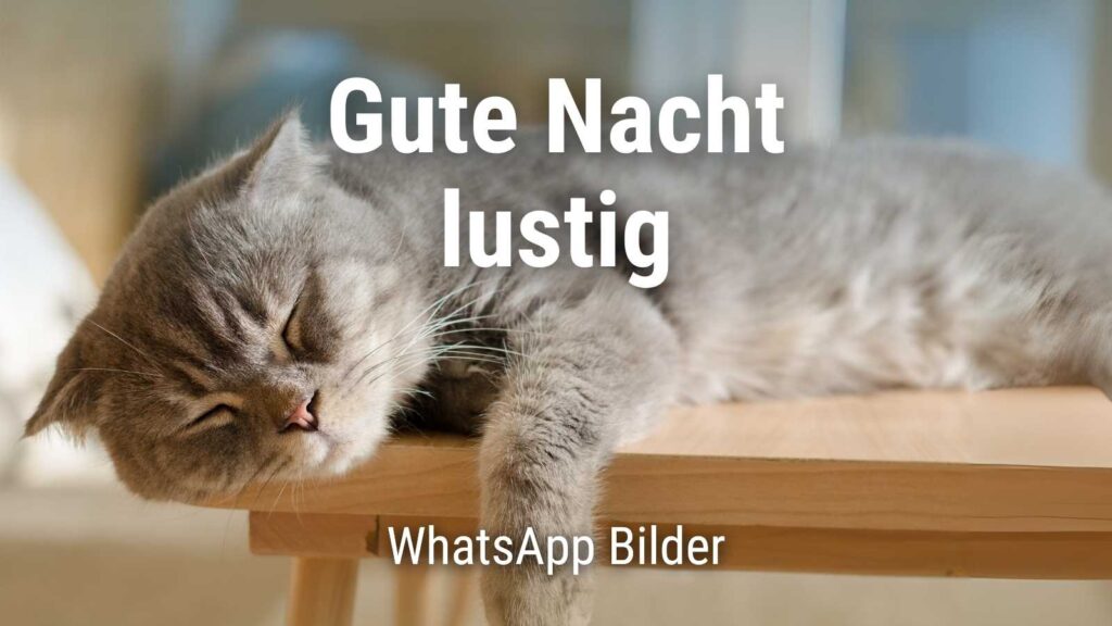 Gute Nacht lustig – WhatsApp Grüße und Bilder zum Lachen · good space.