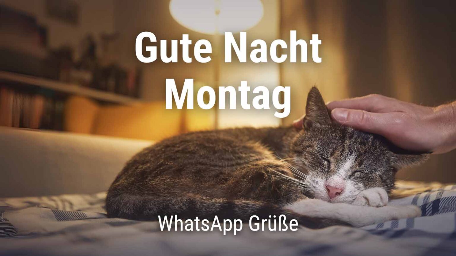Gute Nacht Montag - Grüße und Bilder für WhatsApp · good space.