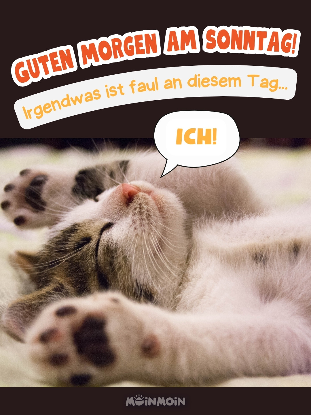 Guten Morgen Sonntag - WhatsApp Grüße und Bilder · good space.